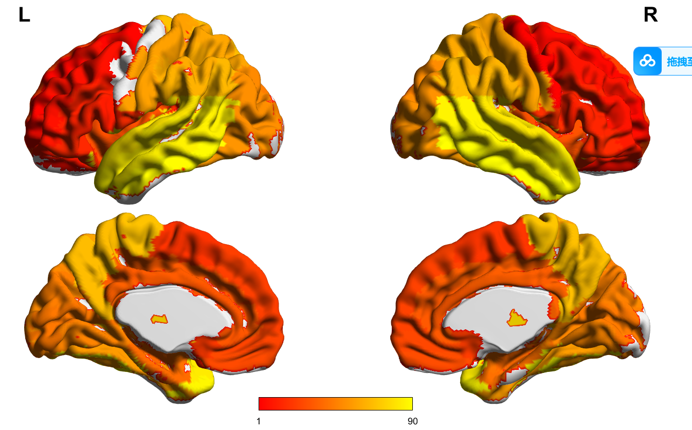 BrainNet volum_编程语言-CSDN问答
