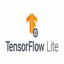 使用docker生成Tensorflow Lite aar文件_tflite-android.dockerfile-CSDN博客
