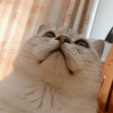 【Android开发】解决permission denied for window type 2038-CSDN博客