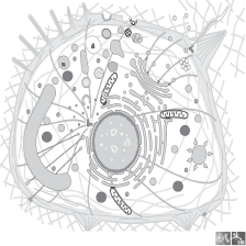 iLocator_链式分类器-CSDN博客
