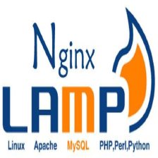 LNMP架构七（Nginx的conf文件配置说明）_lnmp nginx 配置文件路径-CSDN博客