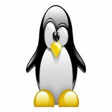 linux系统搭建stm32开发环境_linux与stm32-CSDN博客