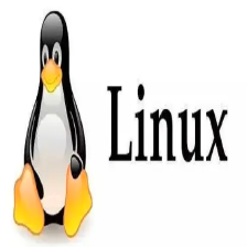 Linux OOM-CSDN博客