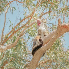 QList、QMap、QVector、QQueue、QStringList的使用-CSDN博客