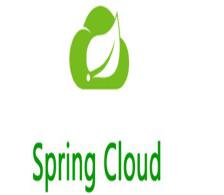 SpringCloud Consul (服务治理与配置中心)_springcloud consul配置-CSDN博客