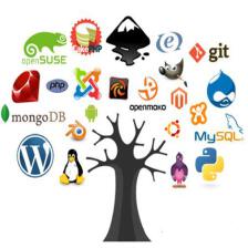 Cesium 使用 indexdb_cesiumofflinecache-CSDN博客