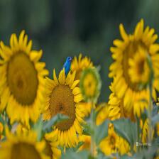 Springboot项目启动报错 maxActive报错_maxactive can't not set zero-CSDN博客