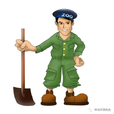 Zookeeper命令总结_zk常用命令-CSDN博客