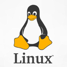 【Linux】必掌握的七大命令：awk、sed、xargs、grep、find、cut、split 及文本文件查找并替换实战操作_awk xargs-CSDN博客