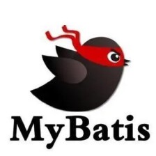 MyBatis-Plus逆向工程——Generator_mybatis-plus generator-CSDN博客