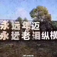 （Linux系统）matplotlib设置中英不同字体：中文宋体和英文Times New Roman_python中matplotlib如何分别设置中英文字体-CSDN博客