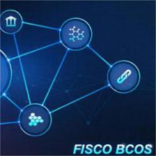 FISCO-BCOS多群组联盟链搭建_搭建一条双机、二机构、二群组、八节点的星形组网拓扑区块链系统-CSDN博客