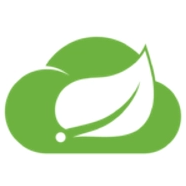 上手【SpringCloud】这一篇就够了_spring cloud-CSDN博客