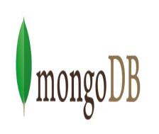 mac 安装 mongoDB的若干坑 --原mac bash环境中和(item2 + oh-my-zsh 环境中)安装mongo_ohmyzsh plugin mongo-CSDN博客
