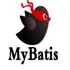 【Mybatis】Mybatis 二级缓存 @CacheNamespace 注解介绍-CSDN博客