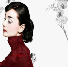 python--PythonMagick安装过程（实测）-CSDN博客