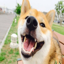 ECMAScript 6（ES6） 特性概览和与ES5的比较15-新增数据结构Map,Set,WeakMap和WeakSet_为什么在es5没 ...