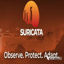 基于DPDK收包的suricata的安装和运行_suricata dpdk-CSDN博客