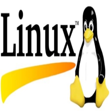 shell最全基础2020年入门---从熟悉grep、sed、awk开始_grep awk sed先学哪个-CSDN博客