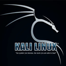 Kali Linux 中报错：E: 您在 /var/cache/apt/archives/ 上没有足够的可用空间的解决方法。_kali空间不足 ...