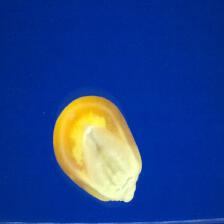 Halcon 算子 select_shape_halcon selectshape-CSDN博客