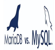 MariaDB 10.5，MySQL乱码问题，设置字符编码UTF8-CSDN博客