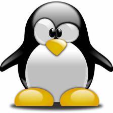 Linux用户和权限：chown, chgrp,chmod_chgrp users-CSDN博客