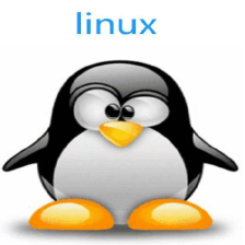 linux安装Tomcat及部署jpress的详细教程！！！_tomcat rpm包-CSDN博客