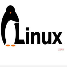 Linux正则表达式与文本处理工具：grep, sort, cut, wc, sed与awk应用详解-CSDN博客