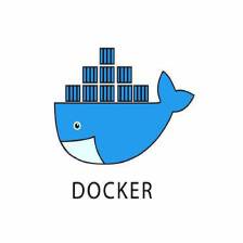 Docker学习2.0-基本操作_avalondock 2.0入门指南第二部分-CSDN博客