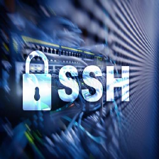 [SSH-1]publickey,gssapi-keyex,gssapi-with-mic_publickey,gssapi-keyex ...