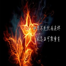 web前端day01-HTML复习笔记_体标签和空标签-CSDN博客