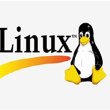 【Linux】yum-CSDN博客