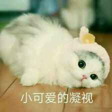 PAT (Basic Level) Practice （中文）1034 有理数四则运算 (20 分)_本题要求编写程序,计算2个复数的和、差、积、商。 输入格式: 输入在一行中按照a1-CSDN博客