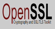 openssl-1.1.1l rpm 升级_openssl-1.1.1 .rpm-CSDN博客