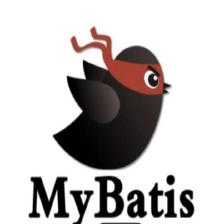 Mybatis之基本操作_mybatis delete-CSDN博客