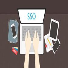 SSO单点登录实战详解1：目录-CSDN博客