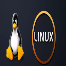 01Linux入门----常见指令已经权限的理解(免费）-CSDN博客