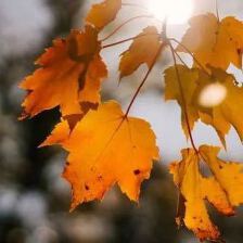 TypeError TextEncodeInput must be Union[TextInputSequence, Tuple[InputSequence, InputSequence ...