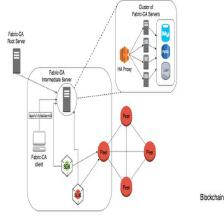 第二节 Fabric CA 获取peer证书 msp_fabric-ca 导入 证书-CSDN博客