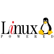 VMware虚拟机安装Linux系统+环境配置+FinalShell管理详细教程（简易自动快速安装）_finalshell安装与配置-CSDN博客