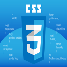 CSS基础入门手册_css input:focus-CSDN博客