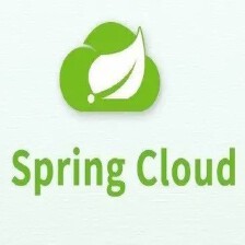 「SpringCloud」08 Config分布式配置中心_skip-ssl-validation-CSDN博客