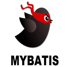 黑马JavaWeb开发跟学(九)MyBatis基础操作_黑马java mybatis-CSDN博客