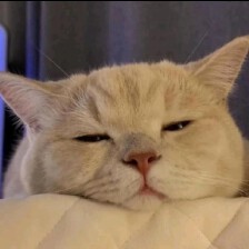 FreeRTOS 编译 Error: L6218E: Undefined symbol xTaskGetCurrentTaskHandle ...