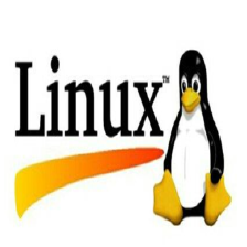 Linux中vi和vim的介绍使用_linux的wc和vim是干嘛的-CSDN博客