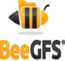 基于CentOS7安装配置BeeGFS并行文件系统（已试验部署成功）_beegfs安装配置-CSDN博客
