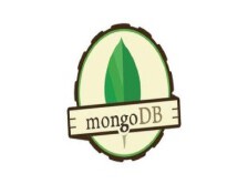 【MongoDB的安装及使用】_docker mongodb-CSDN博客
