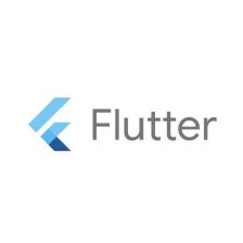FlutterHost设置_flutter doctor访问google超时-CSDN博客