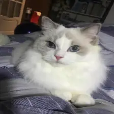 Netty核心组件_netty 核心组件流程图解-CSDN博客